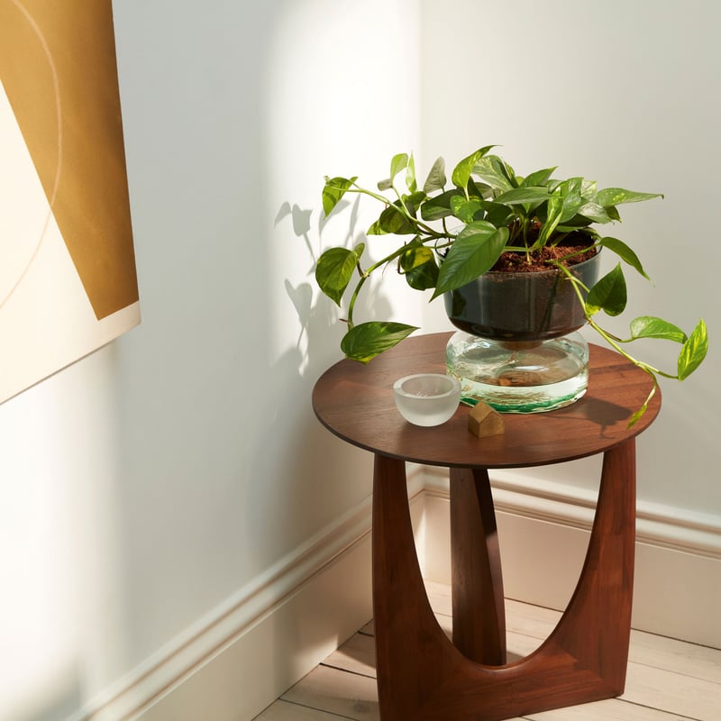 Handmade Glasses & Glassware | LSA International