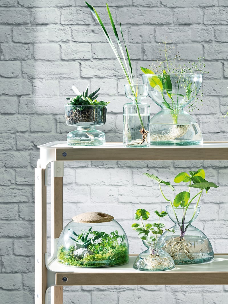 Canopy Collection | LSA International