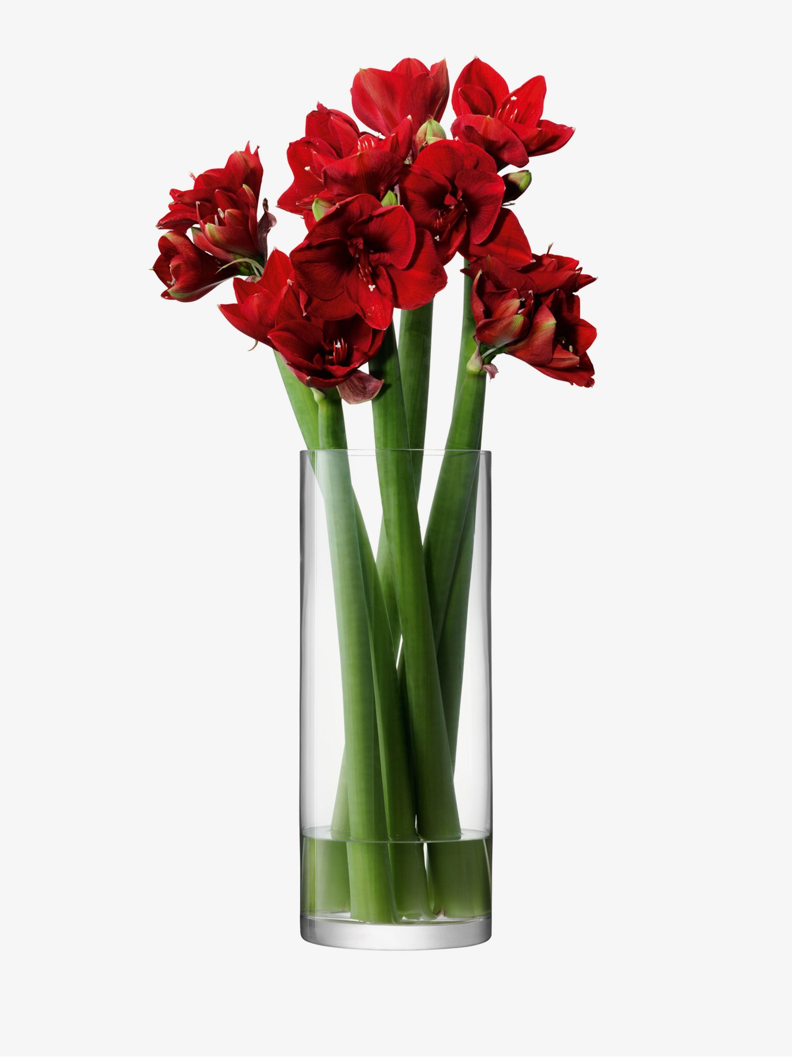 Giant Vase H50cm, Clear | Column Collection | LSA Interior