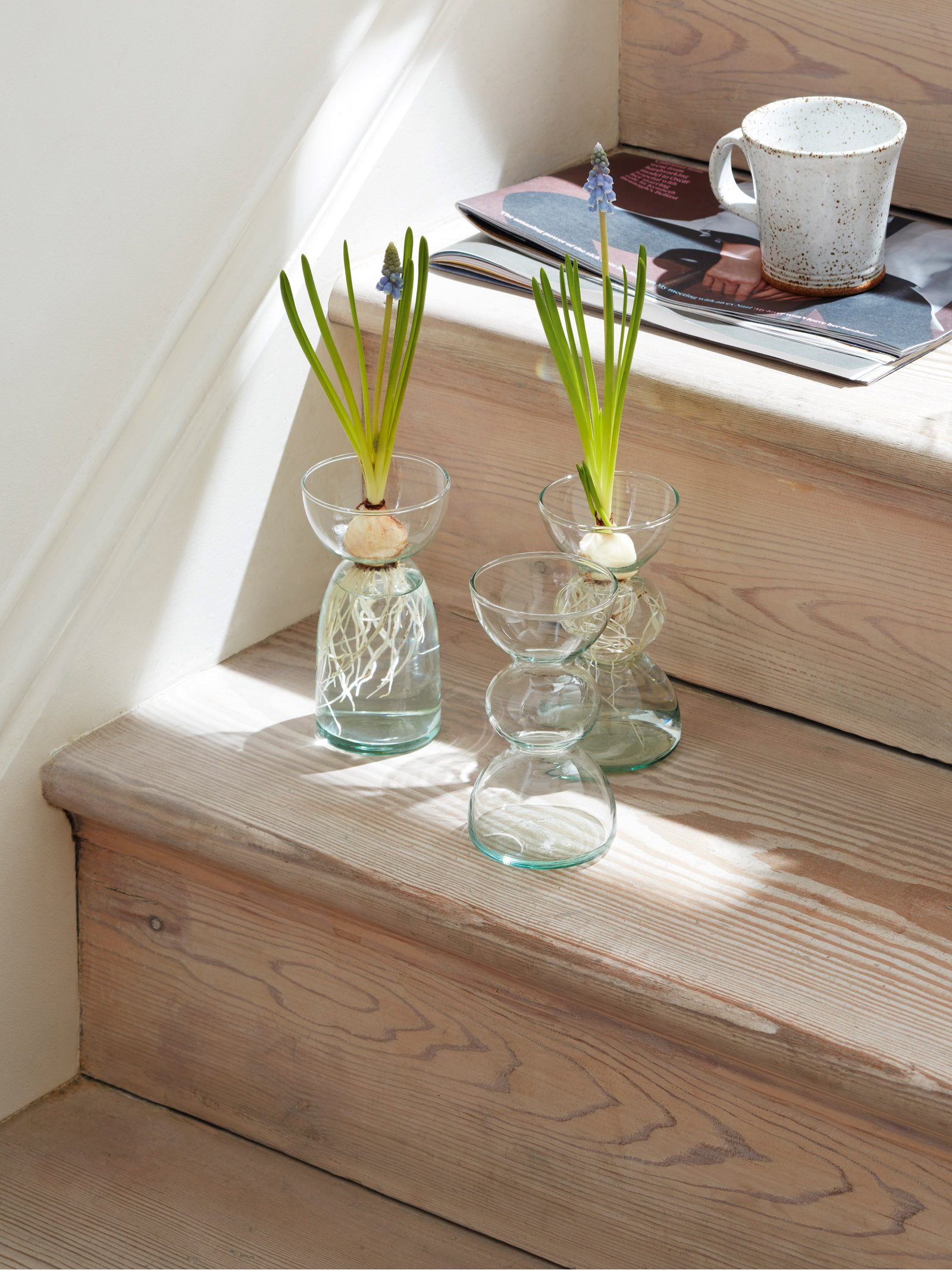 Trio Vase Set H13cm, Clear | Canopy Collection | LSA Interior