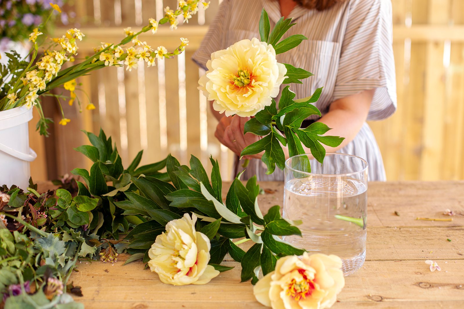 Simple summer flowers
