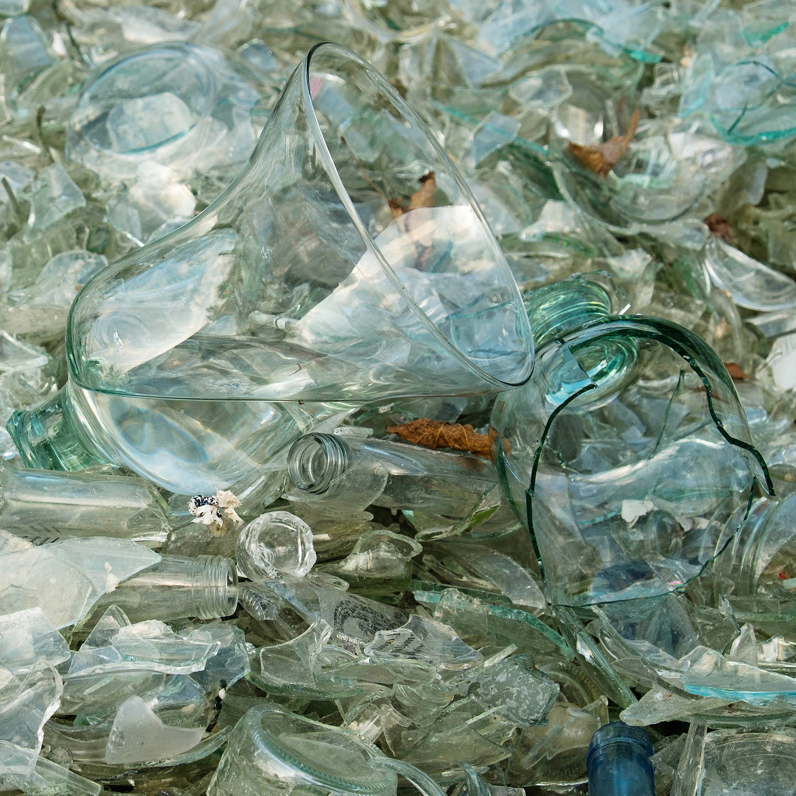 Sustainability | LSA International