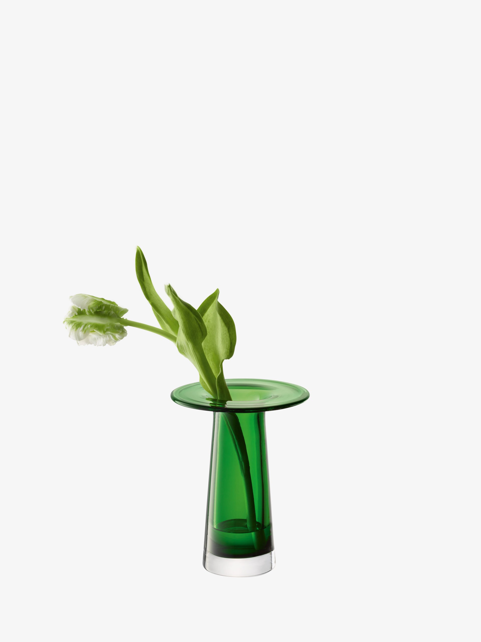 Lsa International Vase