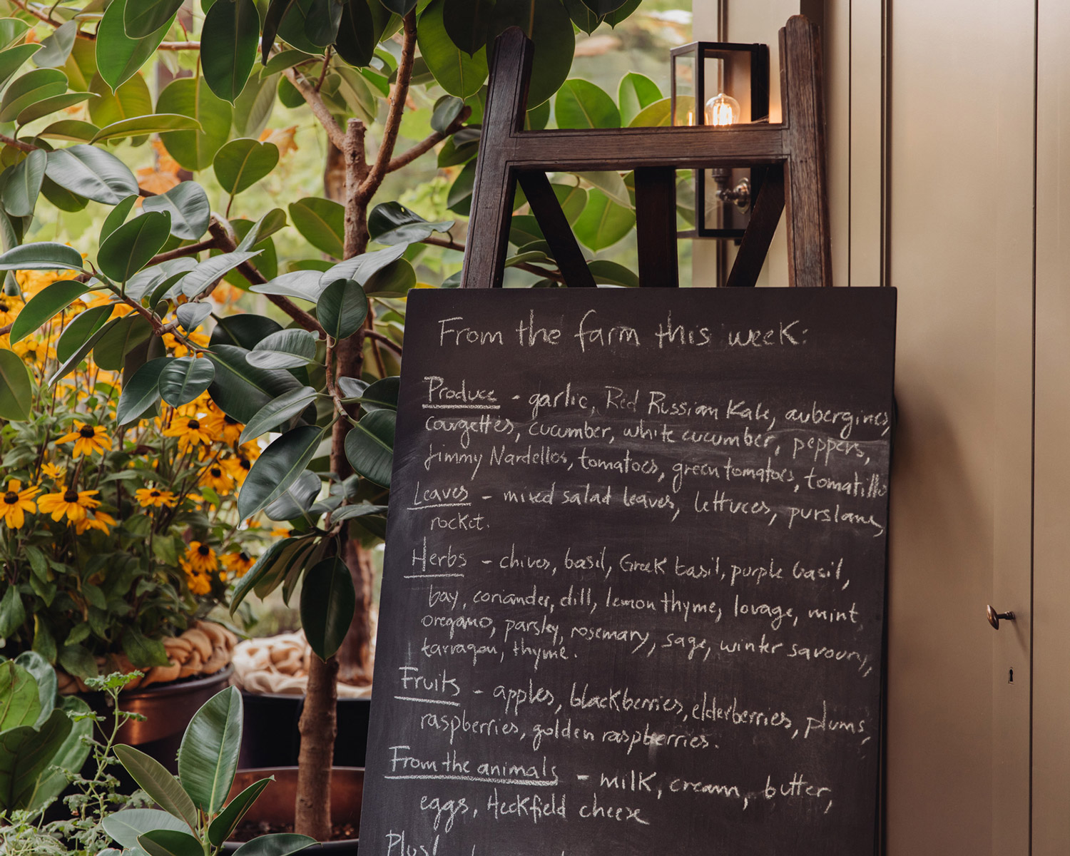From Farm to Fork: Chef Skye Gyngell on Heckfield Place
