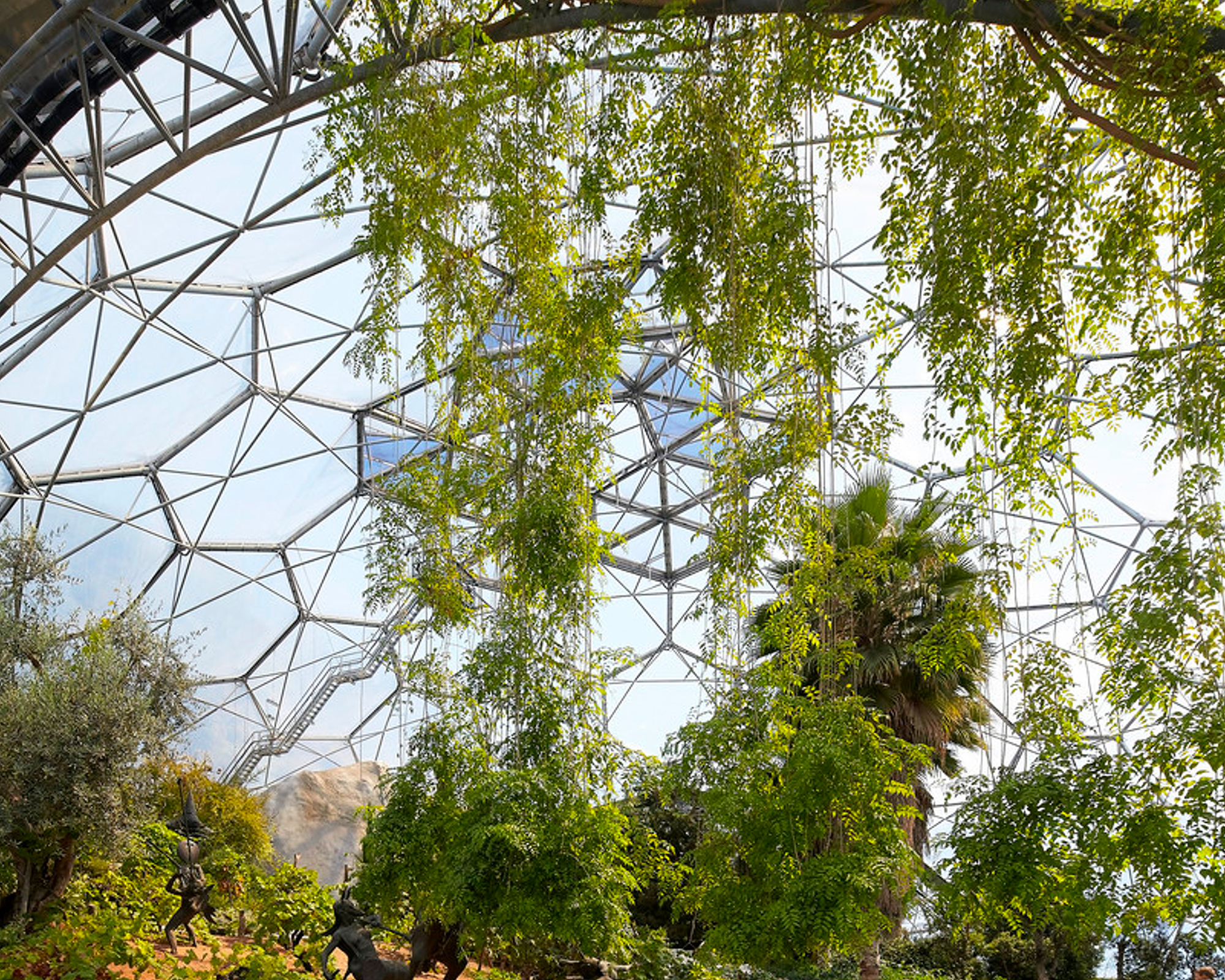 Interview with Eden Project's CEO